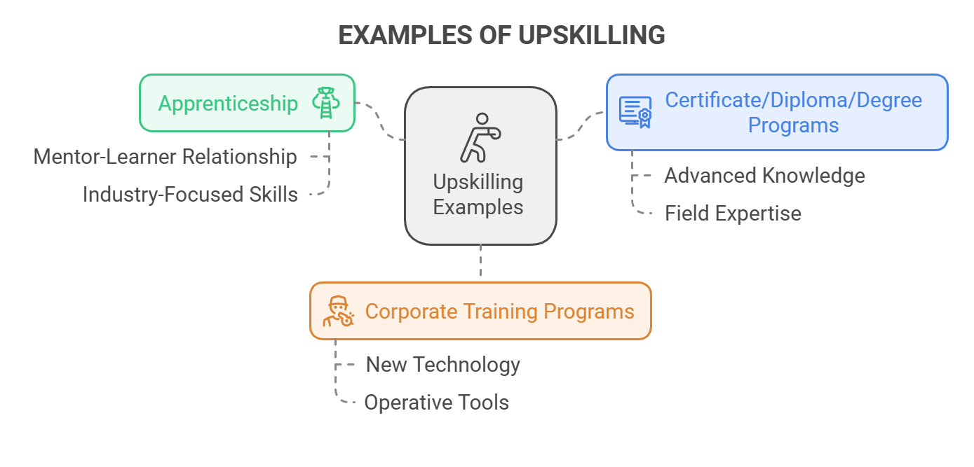 The Best Upskilling Courses To Upgrade Your Skills in 2025 - Distance ...